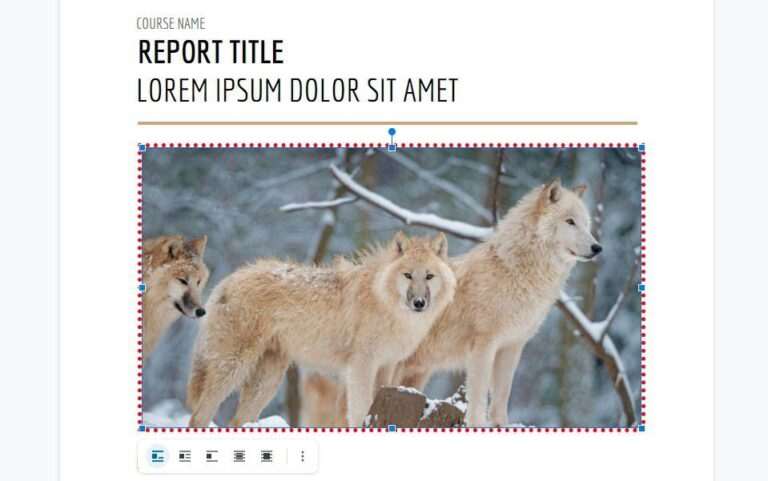 How to Add Animated GIFs Correctly in Google Docs - Vegadocs