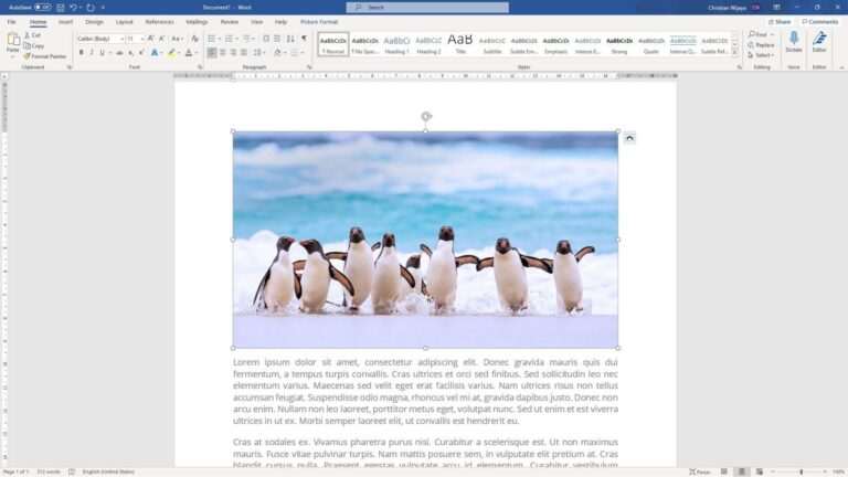 How to Write Text on Top of a Picture in Microsoft Word - Vegadocs