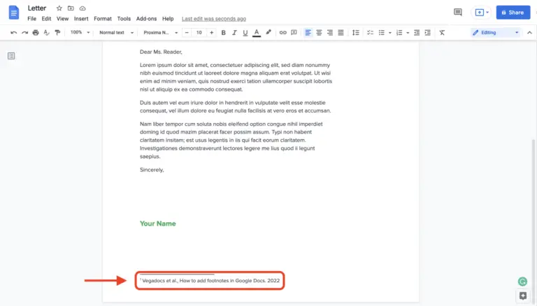 How to Add Footnotes In Google Docs - Vegadocs