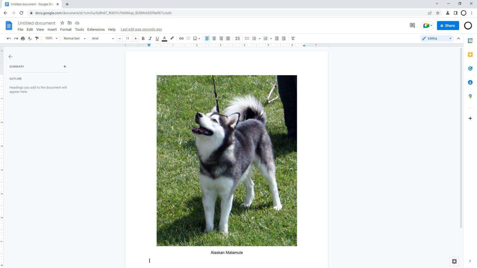 How To Caption An Image In Google Docs Using Drawing 