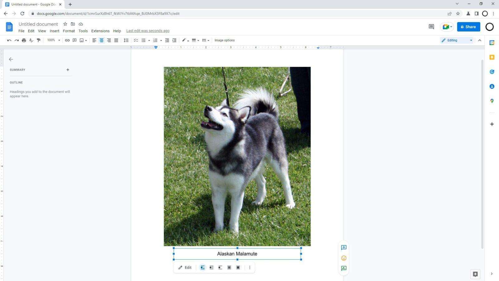 How To Caption An Image In Google Docs Using Drawing 