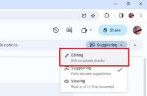 How to Use Suggest Mode in Google Docs - Vegadocs